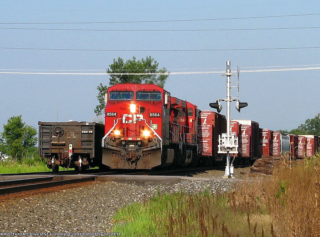 CP 8564 36T